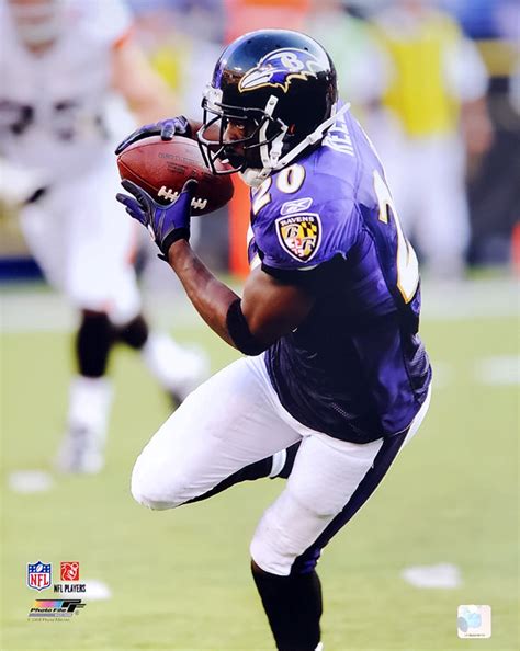 Ed Reed Interception 2008 Baltimore Ravens Premium Poster Print