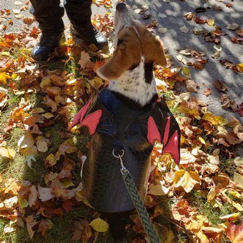 Sarah Wickman Designs Sarahwickmandesigns • Instagram Photos And Videos