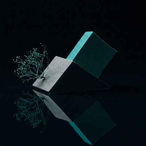 Indigenous Ecology → Fundamentals