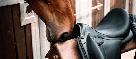 Louer Une Selle Neuve Devoucoux Sur Mesure