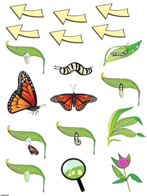 Insect Stem Activities And Writing Bundle By Tchr Two Point 0 Tpt