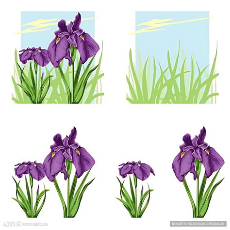 紫色鸢尾花插画组图设计图其他广告设计设计图库昵图网