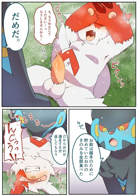 Rule 34 Anthro Belly Blush Duo Erection Fellatio Feral Generation 3 Pokemon Generation 4