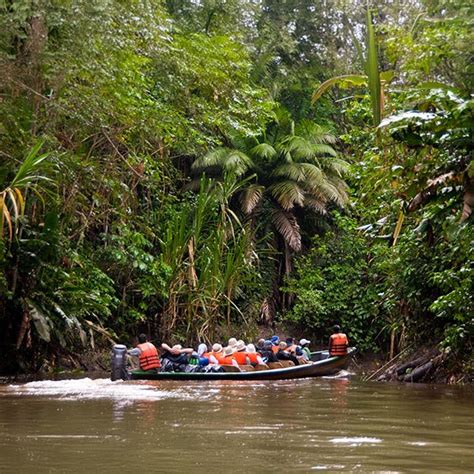 Amazon Rainforest Cruises Ecuador Greengo Travel