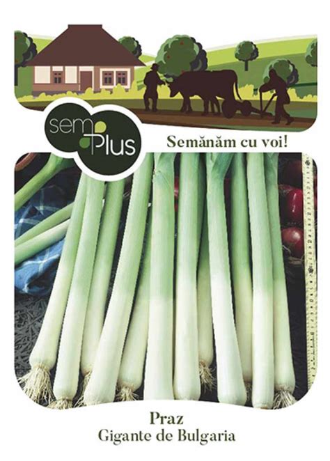 Seminte De Praz Gigante De Bulgaria 1 Gram Semplus 69 Produse
