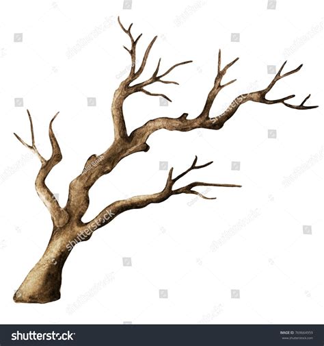Watercolor Dry Tree Branch Bare Tree Stock Illustration 375135256