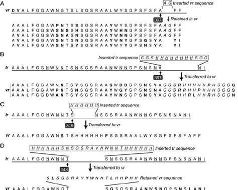 Smpl Mutagenesis With Test Sequences Mutated Codons Are In Bold