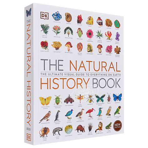 Dk博物大百科英文版 2021新版英文原版 Dk The Natural History Book Visual Guide自然历史指南 地球
