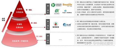 说说中国干细胞产业链 知乎