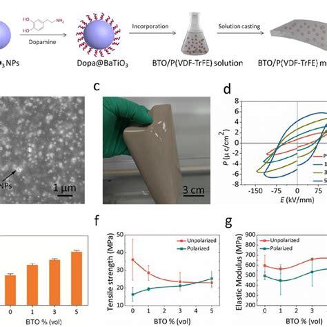 Pdf Nanocomposite Membranes Enhance Bone Regeneration Through Restoring Physiological Electric