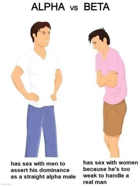 Alpha Vs Beta Male Imgflip