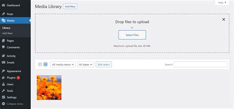 Plugins Error Upload Localhost Wordpress Development Stack