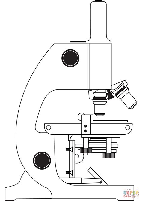 Microscope Compound Light Clipart Electron Drawing Clip Simple