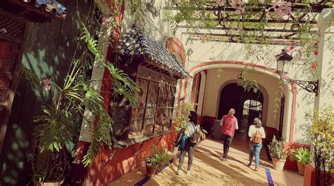 Bodegas Hidalgo La Gitana Finca Vinícola En Andalusia
