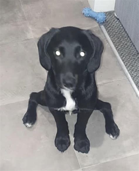 Interesting Choice Rjustshitpostmemes