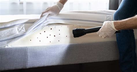 Expert Bed Bug Extermination Services Recon Pest Services