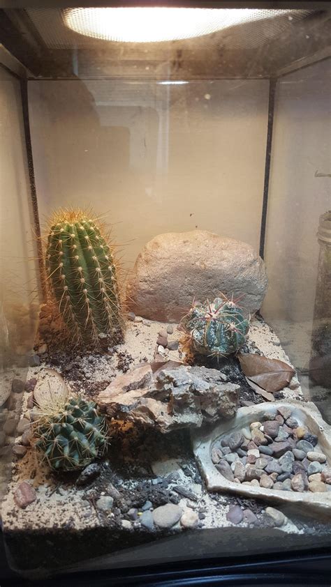 Tanks And Stuff Album On Imgur