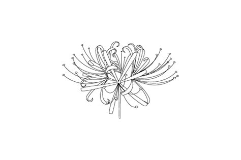 Red Spider Lily Coloring Page Svg Cut File By Creative Fabrica Crafts