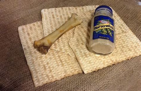 Shank Bone Passover Recipe At Dorothy Lessard Blog