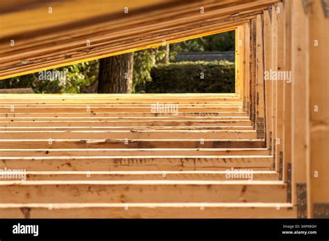 Roofing Support Trusses Arranged As A Triangulated System Of Straight