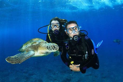 3 Day Advanced Diver Certification On The Gold Coast The Abroad Guide