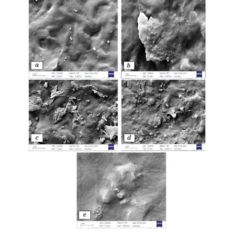 Fe Sem Analysis Of Pcsic Tac Nanocomposites A Pure Pc B 12