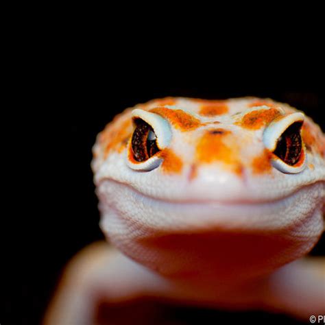 Stream Mako Beam Remake By Hiếu Trung Listen Online For Free On Soundcloud