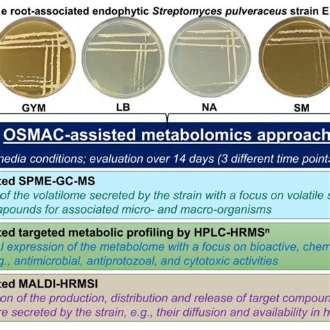 Traud Winkelmann Leibniz Universität Hannover Hannover Institute Of Horticultural