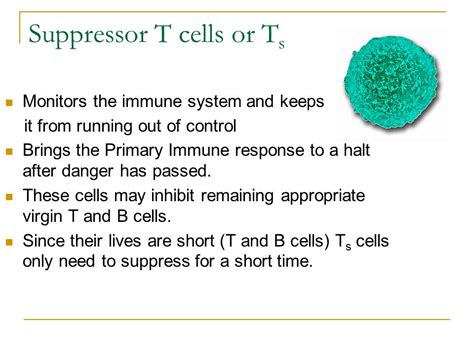 Suppressor T Cells