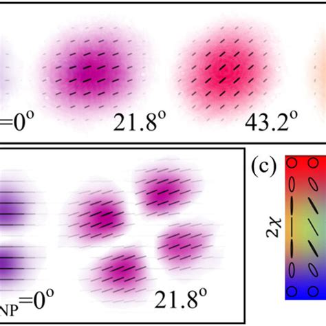 Polarisation Rotation A Experimental Observation Of Polarisation Download Scientific Diagram
