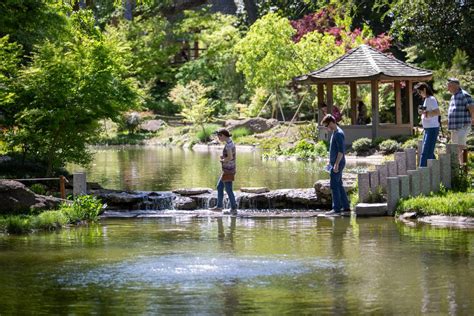 Three Decades In Fort Worths Japanese Festivals Blossom At Botanic