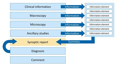 Generation Of A Synoptic Report The Information Presented In A