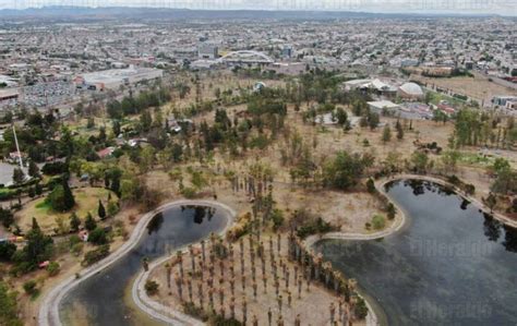 Resiente La Sequía El Parque Landeros El Heraldo De Aguascalientes