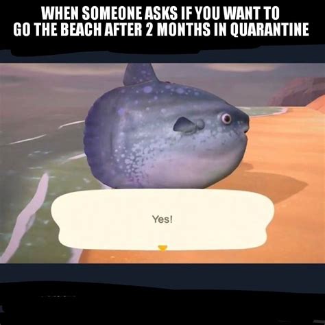 Youre Not Hungry Youre Just Bored R Memes