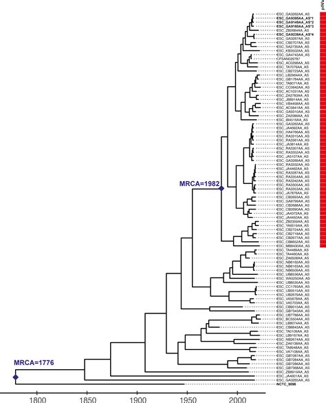 Sydney L Miles Acquisition Of A Large Virulence Plasmid Pinv