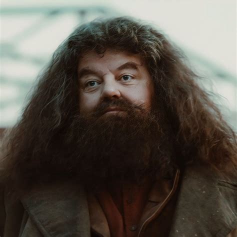 Harry Potter Hagrid Hagrid Robbie Coltrane Harry Potter Hogwarts Harry