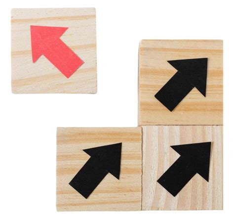 Naderhajhasan Programmanagement Sustainablesuccess Pmoleadership