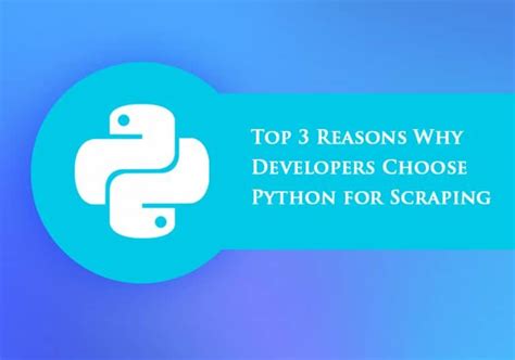 Top 3 Reasons Why Developers Choose Python For Scraping Grace Themes