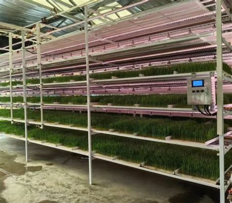 Hydroponic Fodder System Auxgrow