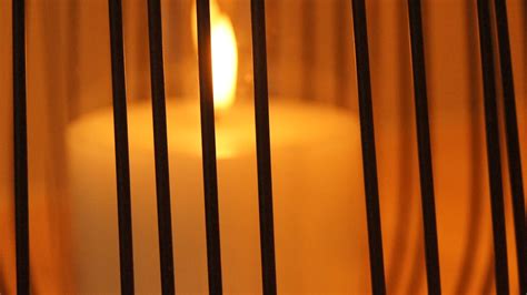 Potent Vs Potential Whats The Difference This Vs That