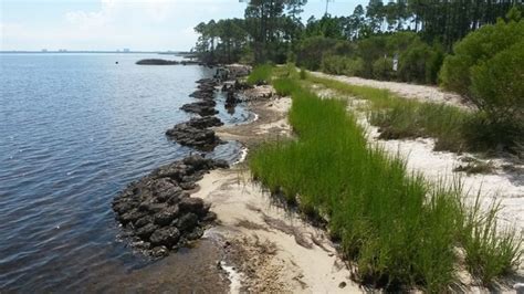 Living Shoreline Suitability Model For Tampa Bay Fwc