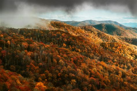 Frothy Monkey Frothy Monkey Added A New Photo