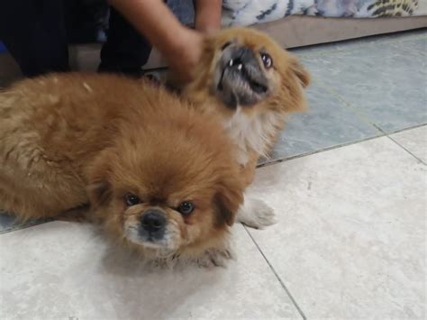 Alice Funeraria Jaramillo