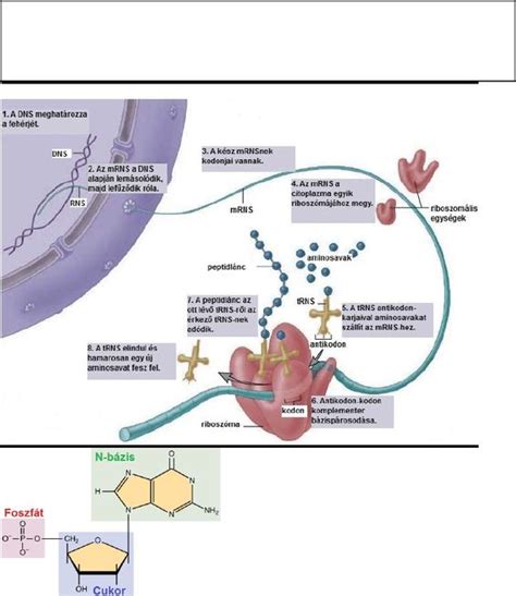 Kodon Antikodon Ruang Soal