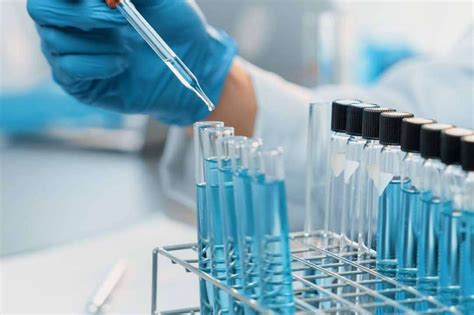 Understanding Testing And Analysis For Lyme Disease And Co Infections