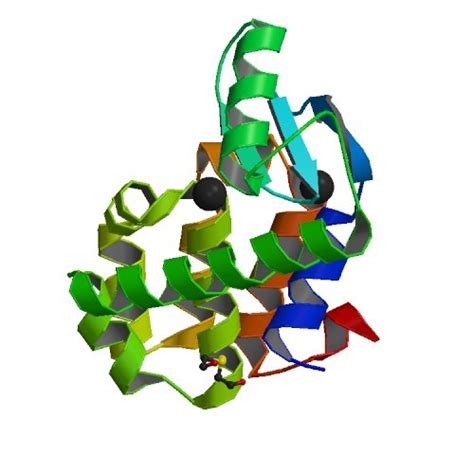 Teammichiganbasic Part