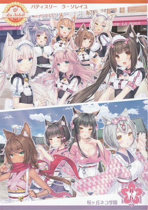 Chocola Vanilla Coconut Cinnamon Azuki And 4 More Nekopara Drawn