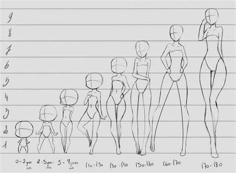 How To Draw Anime Girl Body Proportions