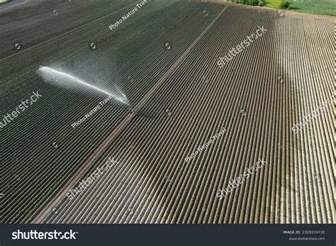 Water Sprinkler In A Farm Over 20494 Royalty Free Licensable Stock
