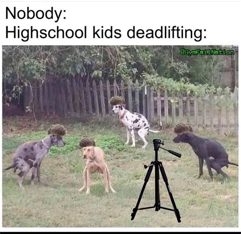 Gym Bro Memes 2 20221115 Thunder Dungeon The Funniest Memes Period